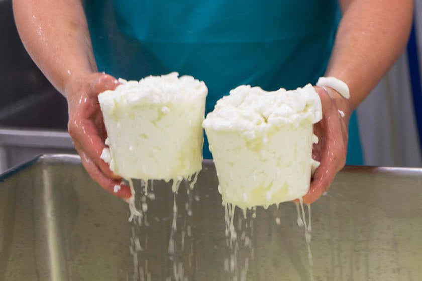 About Us – Monforte Dairy Online Store